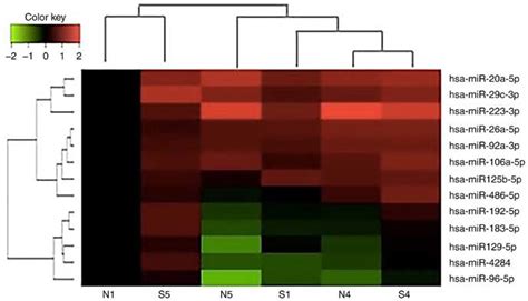Validation Of Sequencing Data By Real Time Quantitative Polymerase Download Scientific Diagram
