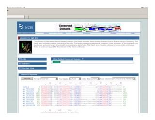Multiple Sequence Alignment PDF