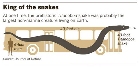 Green Anaconda Vs Titanoboa
