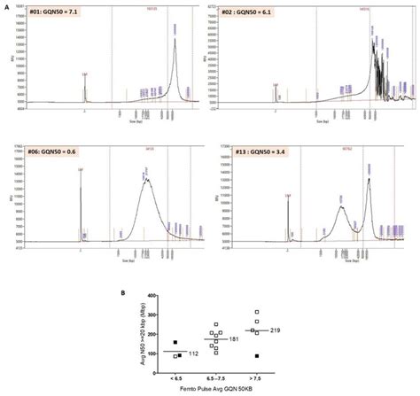 A Separations Of Genomic Dna Performed On The Agilent Femto Pulse