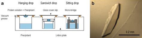 14 Protein Crystallisation Using Vapour Diffusion Technique A
