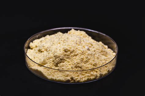 페트리 접시의 유황 분말 산업용 화학 물질 고립된 검은 배경 0명에 대한 스톡 사진 및 기타 이미지 0명 가루눈 곡초류 Istock