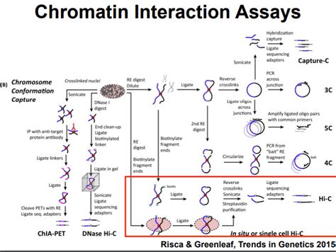 13genome Assembly 4 Bch709 Introduction To Bioinformatics