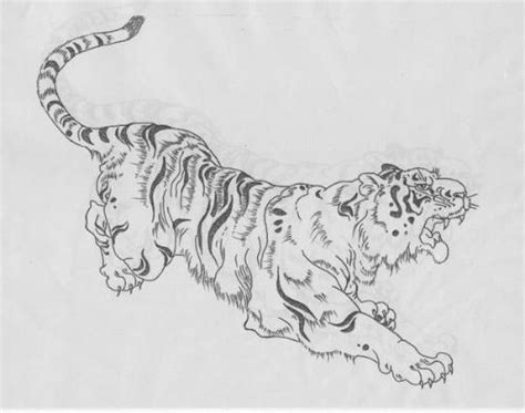 老虎素描版的图片？
