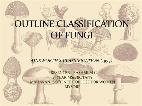 outline classification of fungi pptx