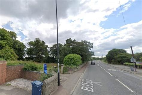 Shiney Row Bungalow Plans Refused Over Tree Impacts And Overshadowing Fears