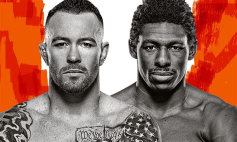 Watch Top 5 Ufc Knockouts Of December 2024