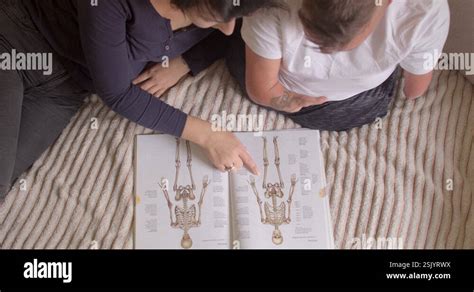 Learning In Home Isolation Study Anatomy And Body Structure During