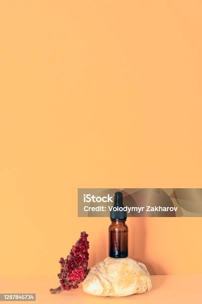 밝은 주황색 배경에 베이지 색 돌 위에 서 있는 드롭퍼가 있는 유리 화장품 병 천연 유기농 화장품의 개념 최소한의 스타일 공간을 복사합니다 갈색에 대한 스톡 사진 및 기타