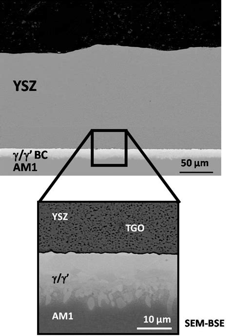 Thermal Barrier Coating System Fabricated In One Step By Sps From The Download Scientific