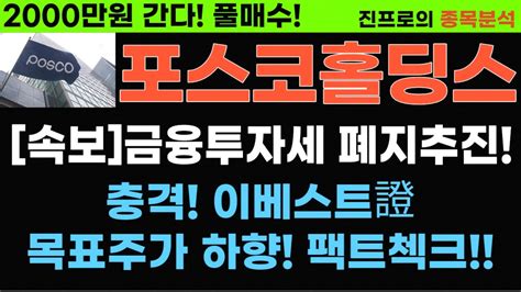 포스코홀딩스 세계최고의 기업이 될겁니다장기투자하세요포스코홀딩스 주가전망양극재 에코프로테마주추천 포스코퓨처엠 포스코케미칼진프로무료단타추천주포스코엠텍