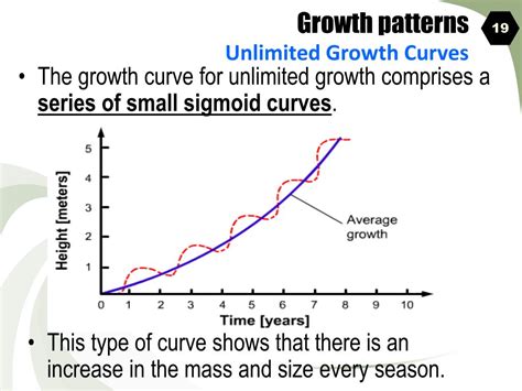 Ppt Growth Patterns Powerpoint Presentation Free Download Id 3042820