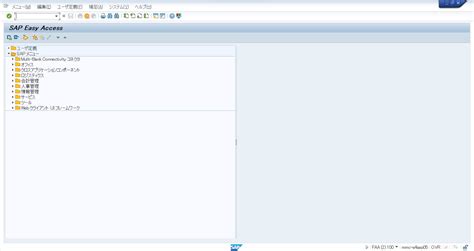 【sap小ワザ】オススメのgui設定まとめ Sapラボ