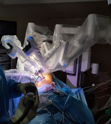 Rats Left Upper Lobectomy Rindianmedschool