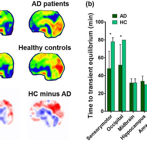 A Mean Time To Transient Equilibrium In Ad Patients And Healthy Download Scientific Diagram