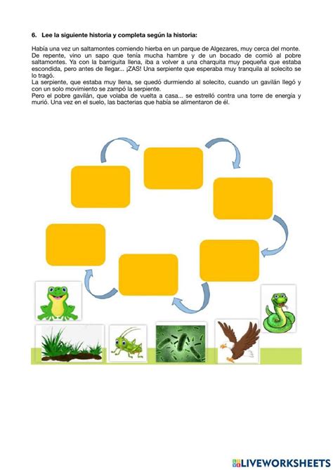 Cadenas Tróficas Activity Live Worksheets