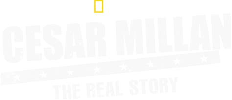 Cesar Millan The Real Story Disney