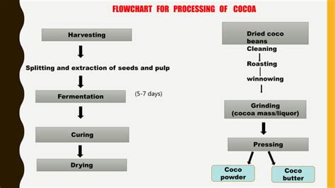 Processing Of Cocoa Pptx