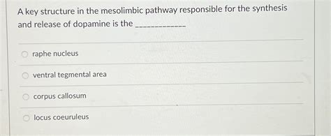 Solved A Key Structure In The Mesolimbic Pathway Responsible