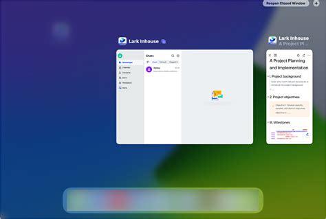 Open Multiple Windows On Ipad