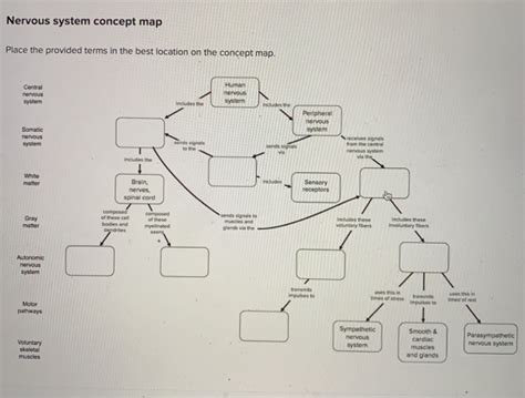 Concept Mapping The Nervous System Worksheets
