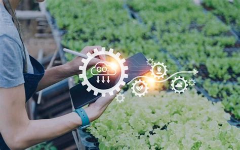 미래의 사업가는 휴대폰 온도 및 습도 센서를 사용하여 현대 Ai 기술을 사용하여 채소와 작물을 재배합니다 물 추적 기후 제어 홀로그램 데이터 데이터 아이콘 프리미엄 사진