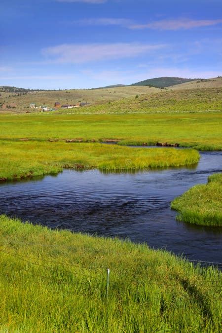 366 Serene Stream Water Flowing Lush Green Meadow Landscape Stock