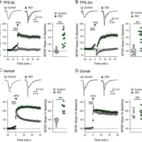 β Adrenergic Receptor Enables Tps And Hfs Induced Ltp In The Ventral Download Scientific