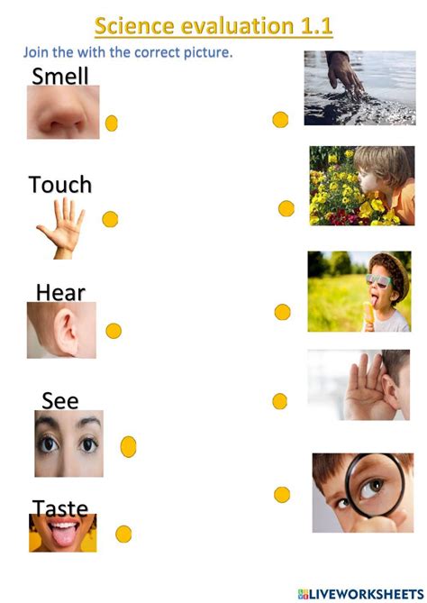 Science Evaluation 11 Worksheet Live Worksheets