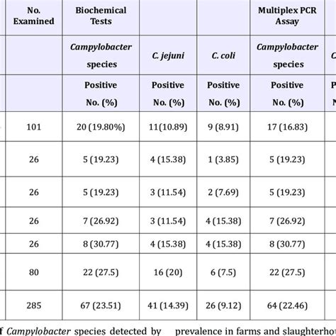 Identification Of Campylobacter Spp By Biochemical And Molecular Techniques Download Table