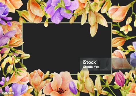 수채화 보라색과 복숭아 Freesia 꽃 프레임 어두운 배경에 그려진 손 결혼식 또는 인사말 카드 템플릿 결혼식에 대한 스톡