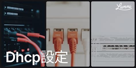 Dhcp設定 Images — Free Hd Download On Lummi