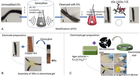 Schematic Illustration Of Cf Wes Fabrication A Sonication Treatment Download Scientific