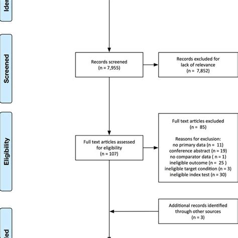 Conceptual Framework Of Outcome Measures Conceptual Framework