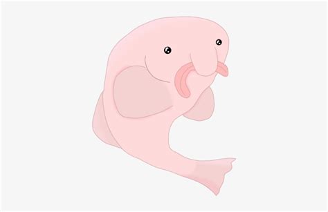 Clip Royalty Free Download Blobfish Drawing Side View Drawing Transparent PNG 500x500 Free