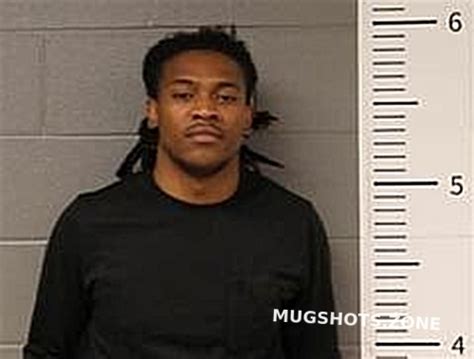 Voltz Deatrice 05 23 2025 St Clair County Mugshots Zone