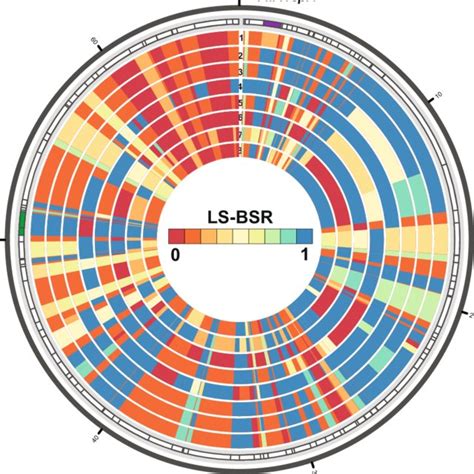 In Silico Detection Of Lt Plasmid Genes The Presence Of Download