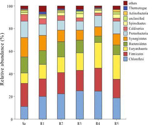 Relative Abundance Of Microbial Communities At The Phylum Level Phylum Download Scientific