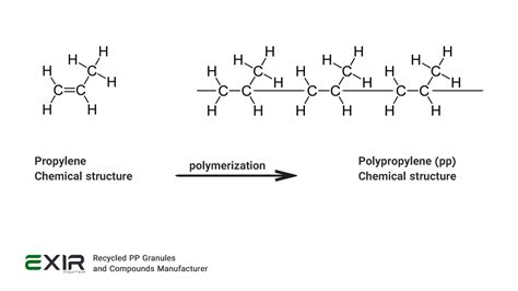 Polypropylene Structure Properties Uses Exir Polymer