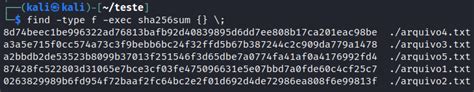Verificar Hash Sha256 Via Terminal Linux