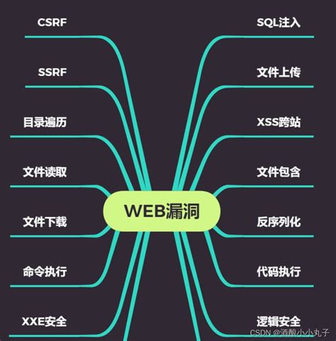 web安全 渗透测试 网络安全 漏洞挖掘的重点环节及基础知识 最擅长挖掘哪方面漏洞 csdn博客
