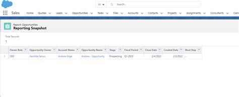 A Guide To Using Reporting Snapshot In Salesforce