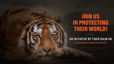 Fionna Arez On Linkedin Tiger Balm Launches Eyeofthetiger Campaign
