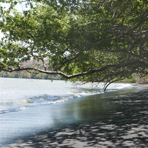 Charco Verde A Green Paradise On Ometepe Into The Arms Of America
