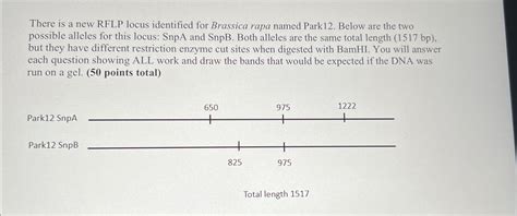 Solved There Is A New Rflp Locus Identified For Brassica