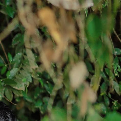 S J Anandhu Sj Anandhu • Instagram Photos And Videos