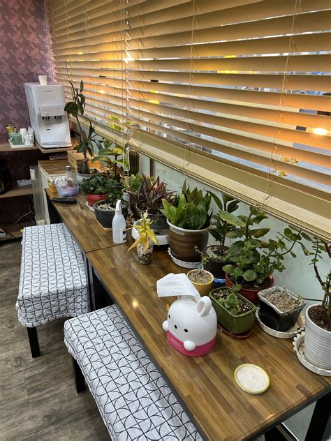 📢 여주 북내에 위치한 미용실 📢 소비자 마당