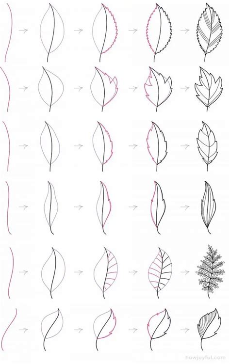 Drawing Leaves How To Draw Step By Step Doodle A Leaf Flower Drawing Tutorials Leaf