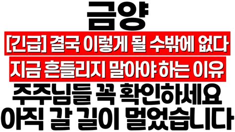 금양 주가 전망 류광지 회장님의 큰 그림 결국 이 기업은 이렇게 될 수밖에 없습니다 금양 단기차입금 금양 주식 목표가 금양 에스엠랩 금양 기봉이 금양 박순혁 이사