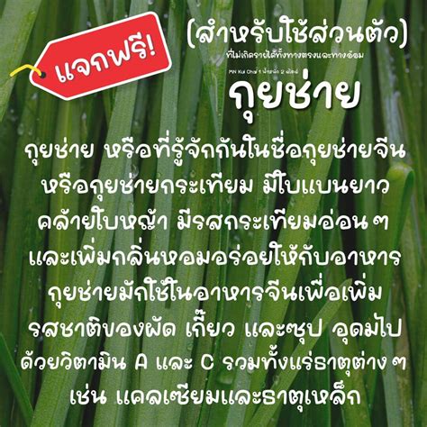 ฟอนต์ คอม กุยช่าย Mn Kui Chai